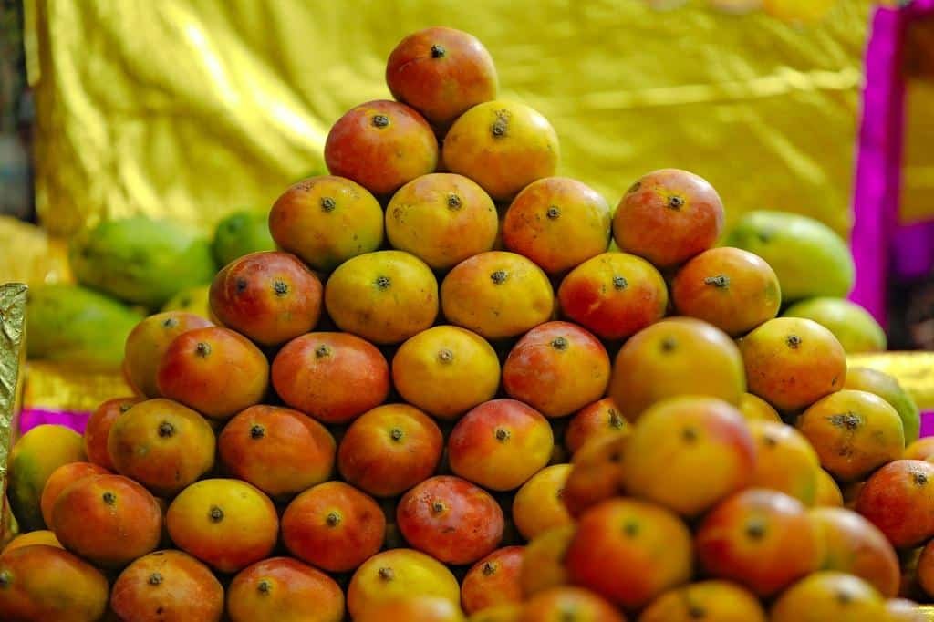 Ratnagiri Alphonso Mango: The Golden Crown Jewel of Indian Fruits ...